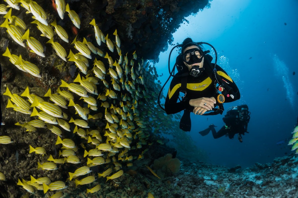 Aruba Antilla Shipwreck 2026: The Caribbean's Largest...