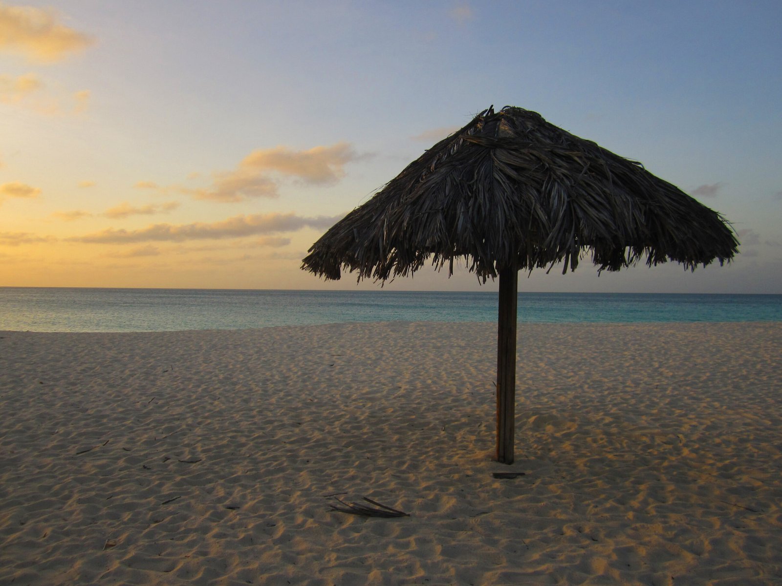 Aruba in December 2026: Weather, Prices & What to Expect (Local Guide)
