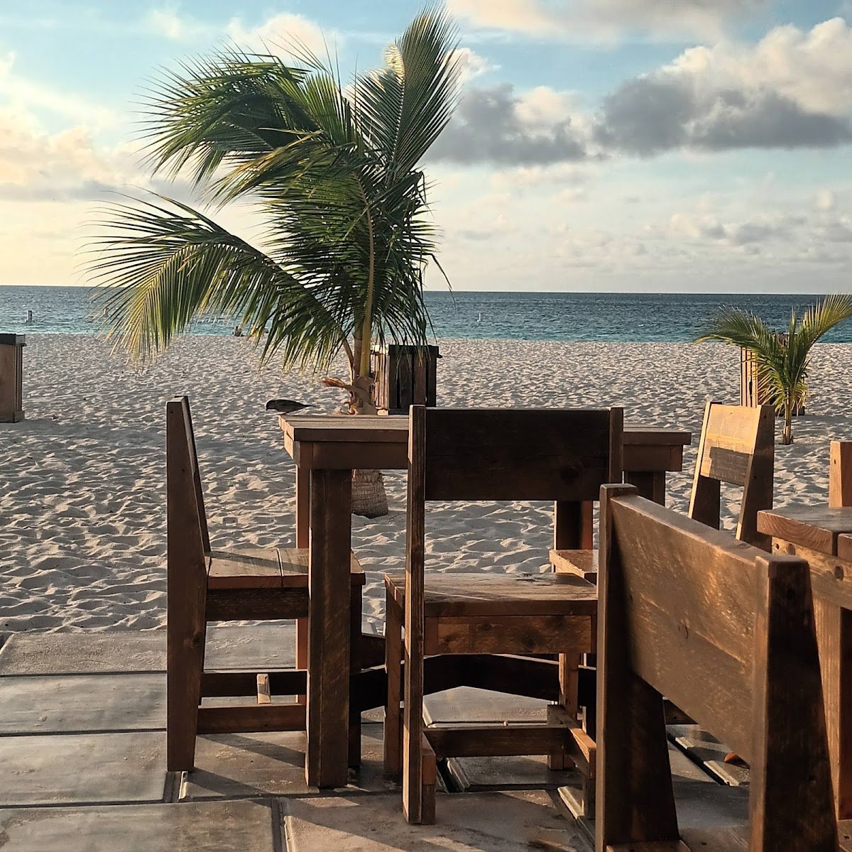 Coco Loco Beach Bar Aruba 2026: Toes-In-Sand Bar on Eagle Beach